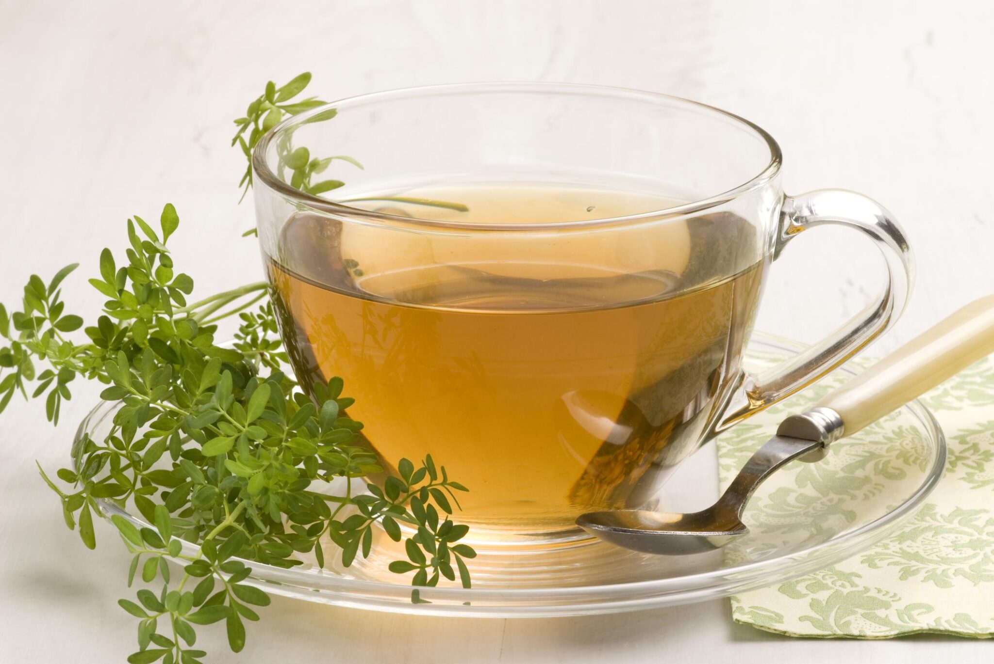 Beneficios de la Ruda: Receta y Formas de Consumo - Los Mejores Remedios
